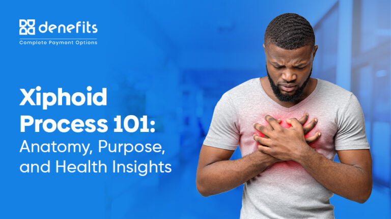 Xiphoid Process 101: Anatomy, Purpose, and Health Insights